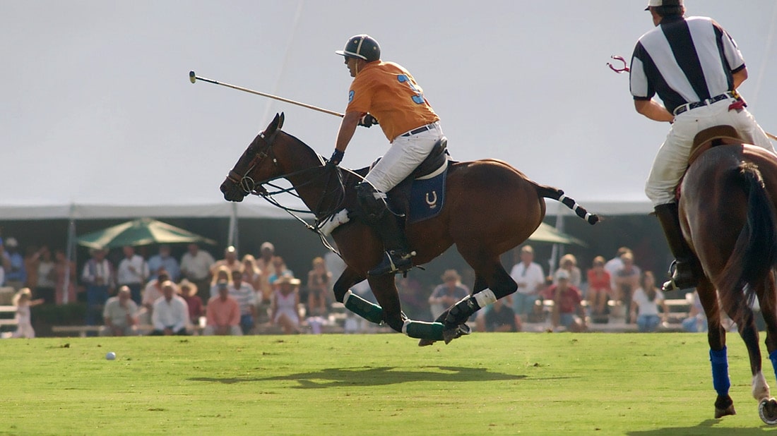 This is polo: an insider’s guide to one of the world’s oldest team ...